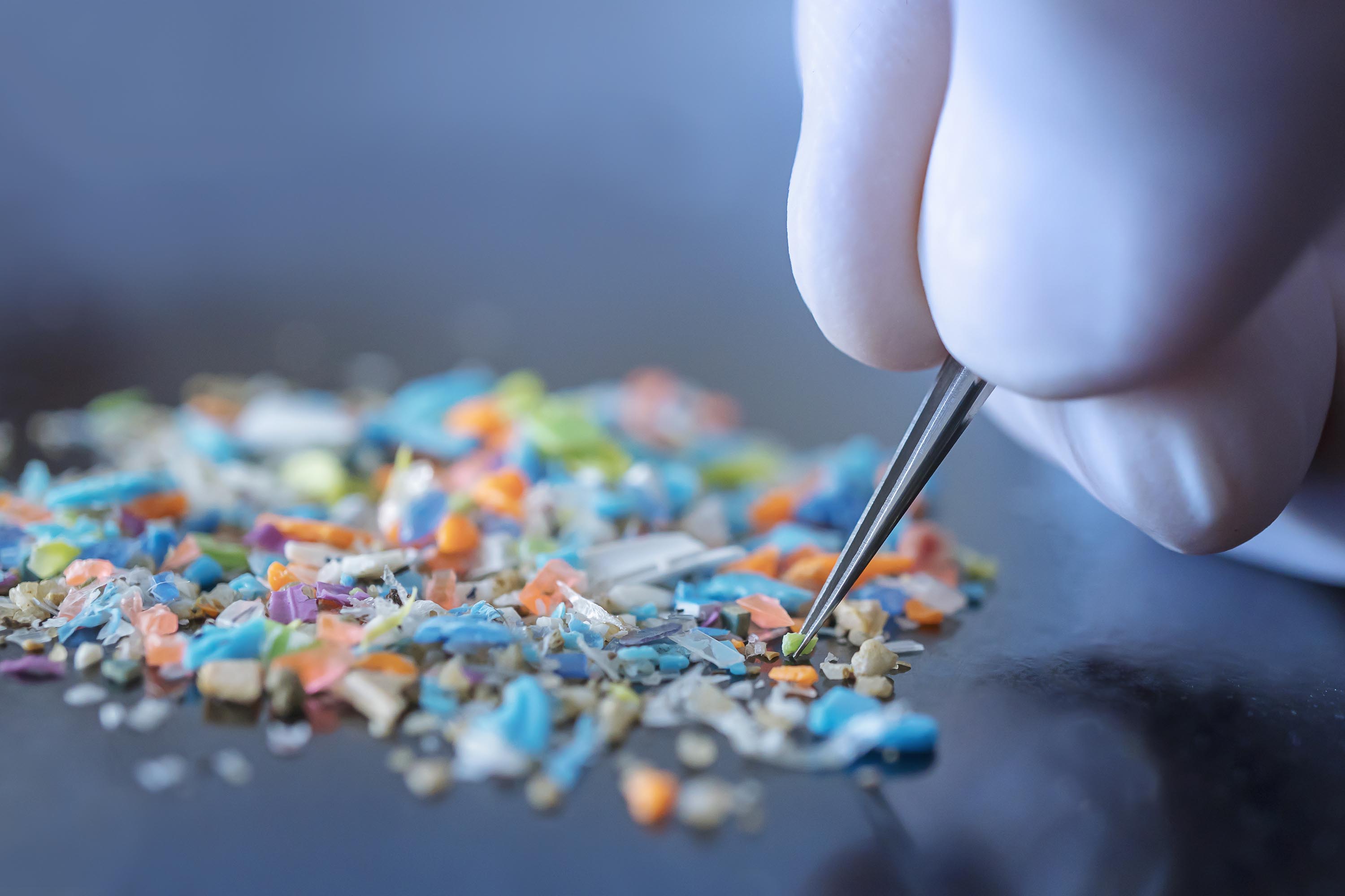 Can Microplastics Cause Inflammatory Bowel Disease?
