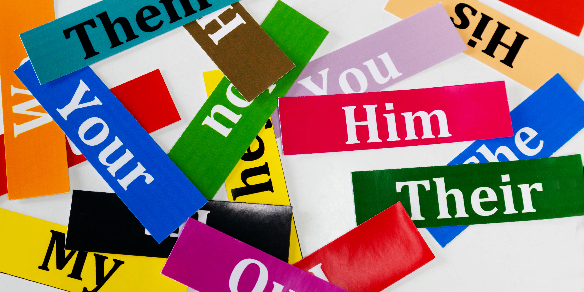 Gender: Understanding Gender Identity, Dysphoria, & More