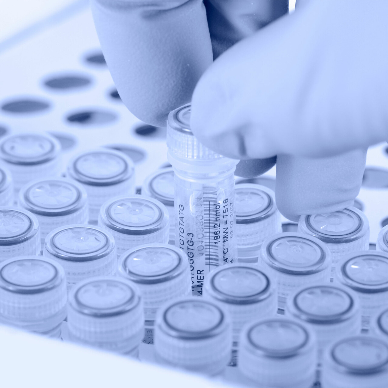 Sickle Cell Disease Facts