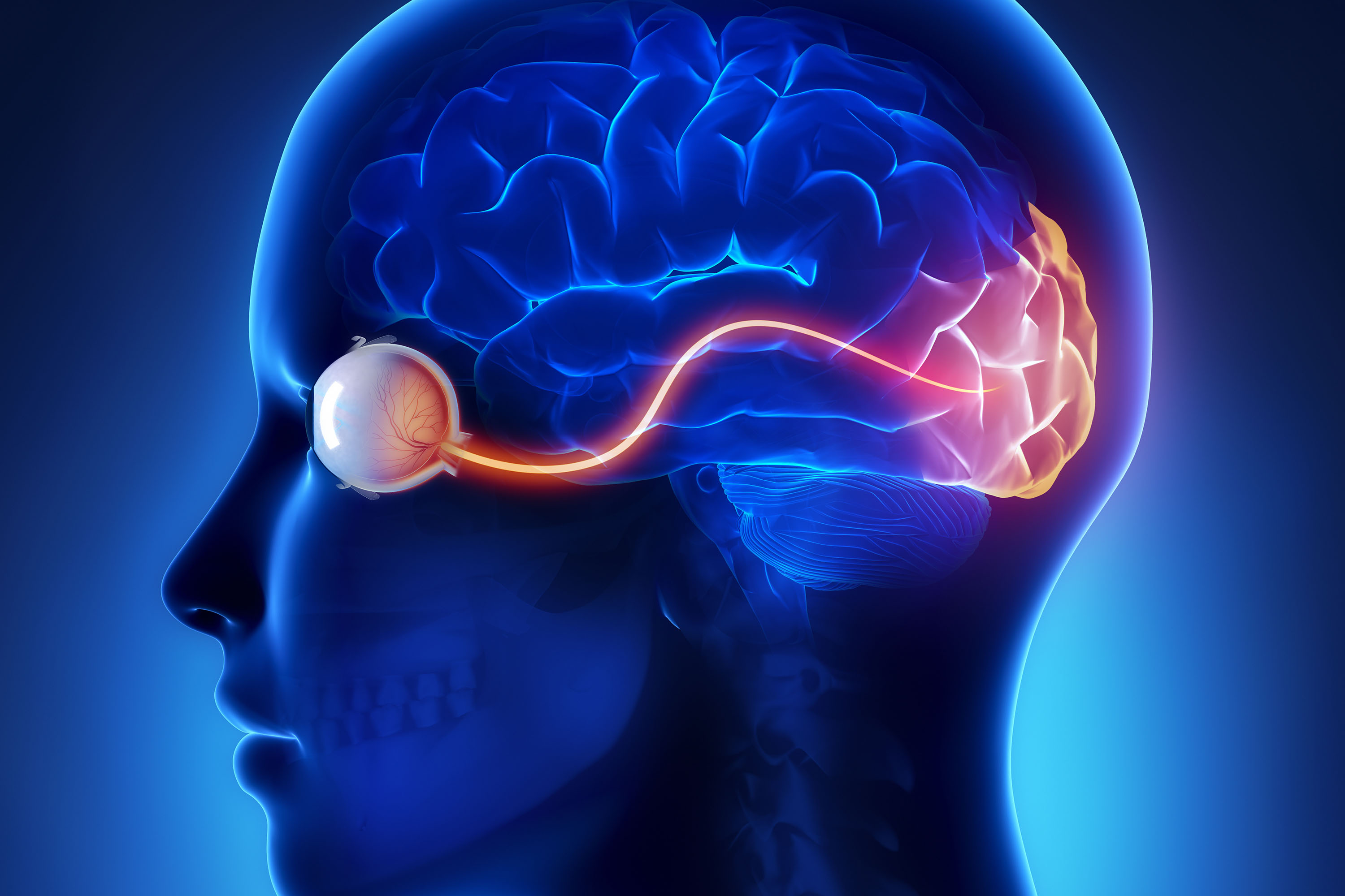 Visual Evoked Potential (VEP) Test for Multiple Sclerosis