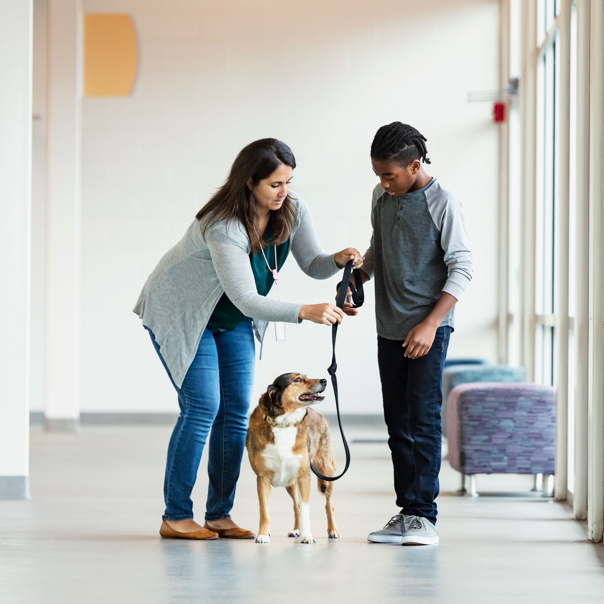 Tips to Avoid Rehoming a Pet When Your Child Has Asthma