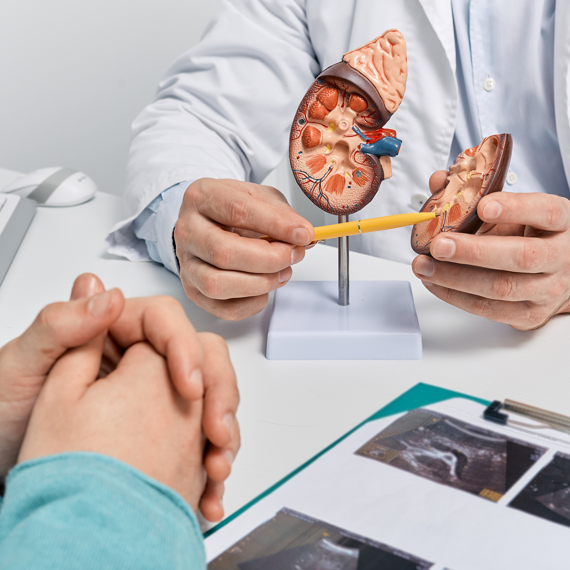 What Your Rare Kidney Disease Care Team Looks Like