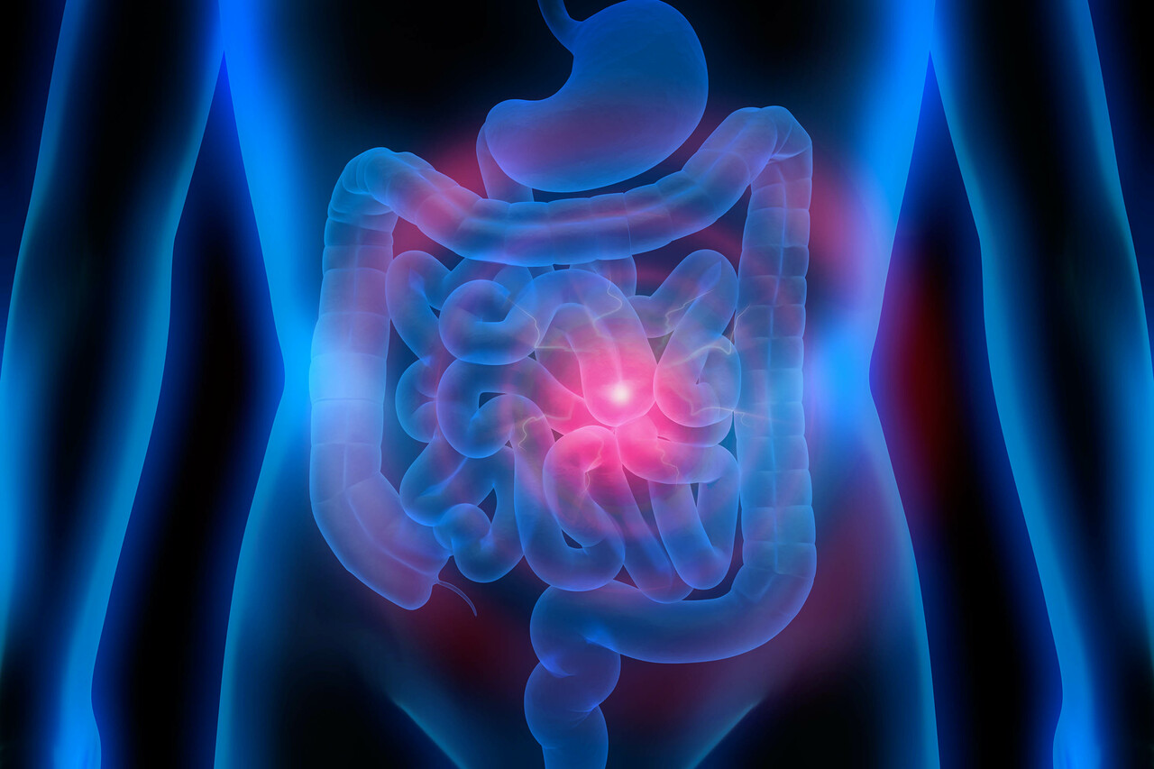This New Research Discovery Could Change the Future of IBD Treatment