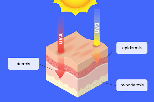 UVA vs. UVB Rays: What's the Difference?