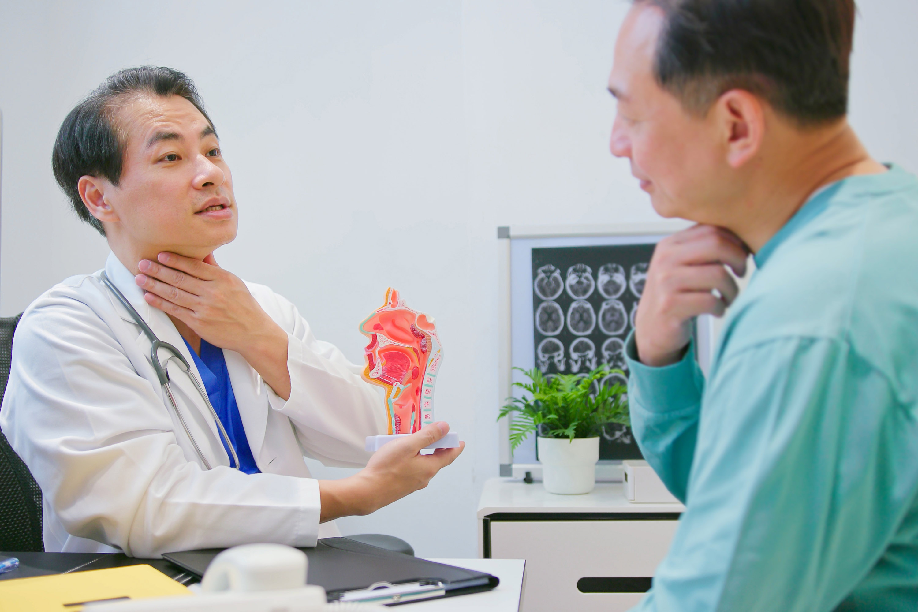 Z Line Esophagus: Everything You Need To Know