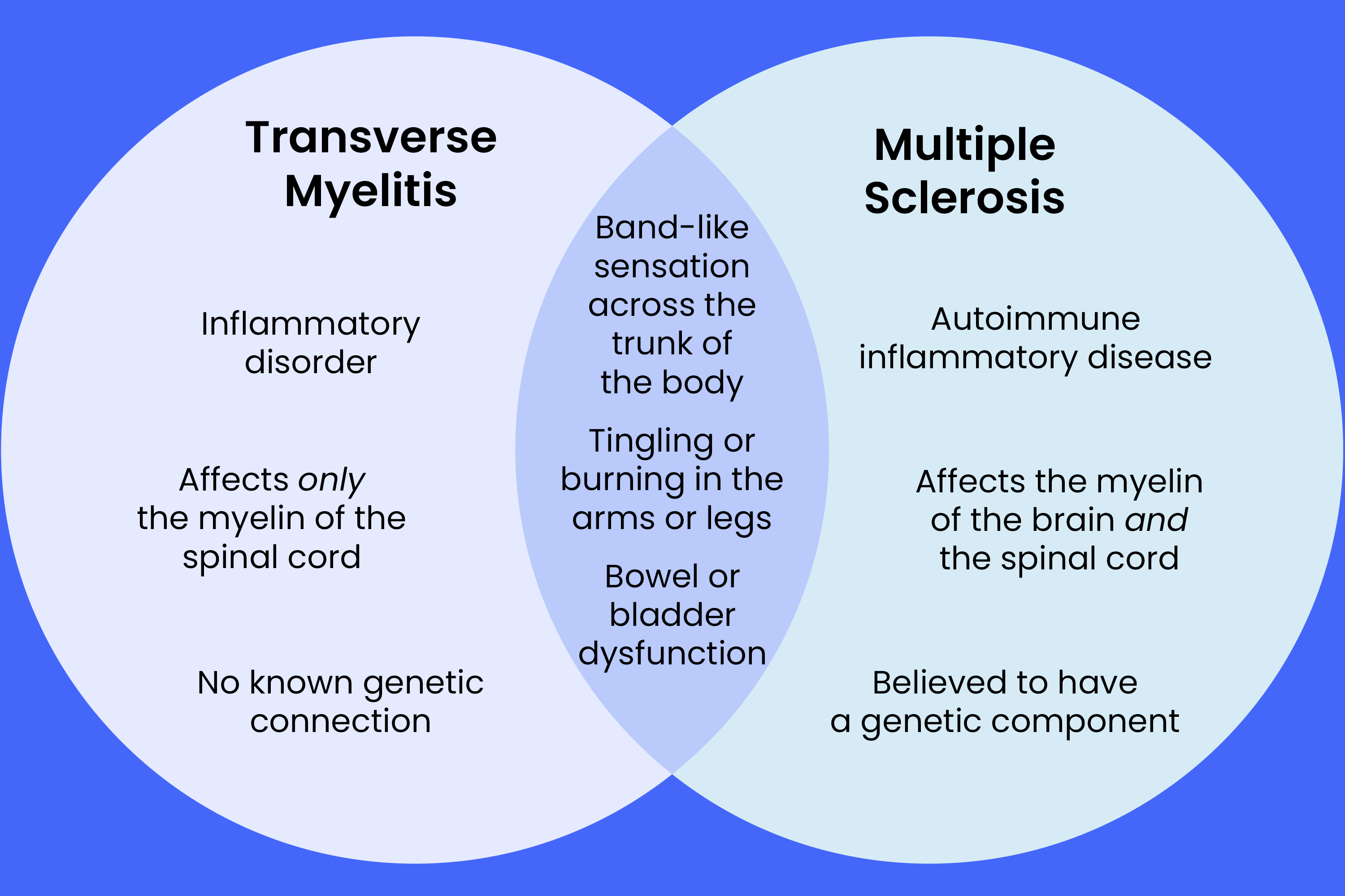 Transverse Myelitis and MS: What’s the Connection?
