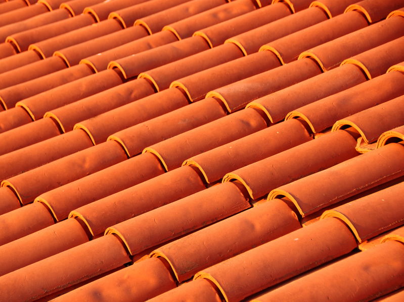 Shingles Pain and Prevention