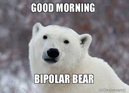 9 Memes That Explain Bipolar
