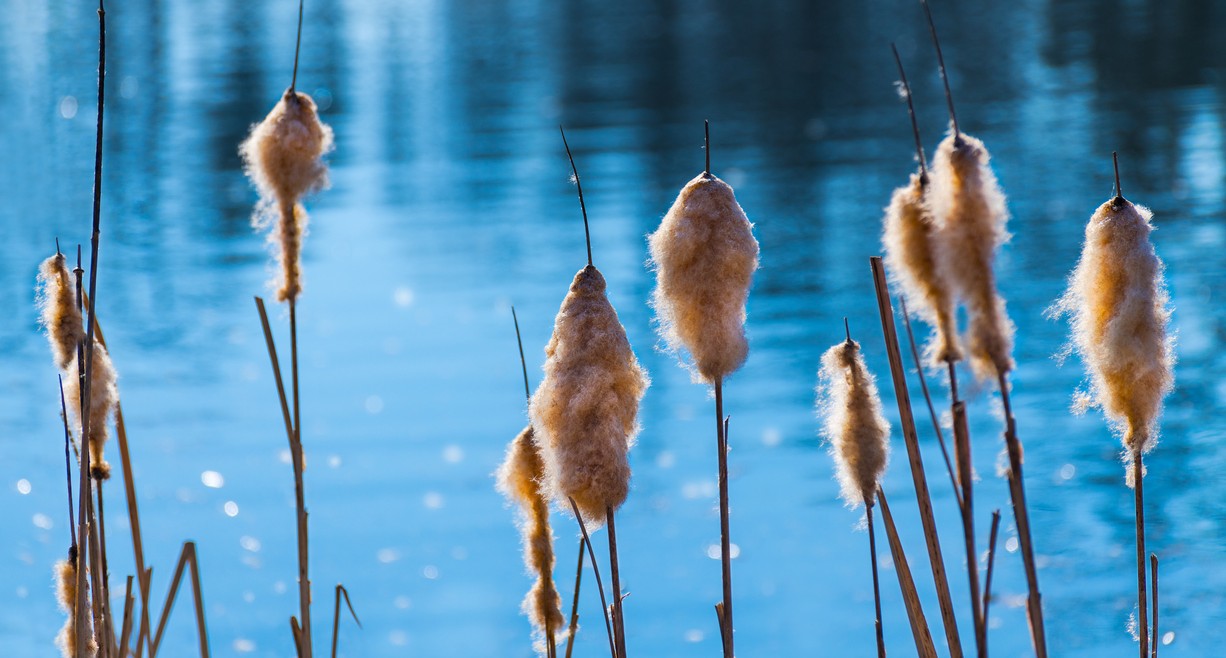 Spring Depression (Reverse SAD): Causes, Treatments & More