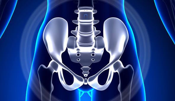 Bone Cancer X Ray Spine