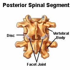 Causes of Degenerative Disc Disease | Aging, Wear and Tear on the Spine