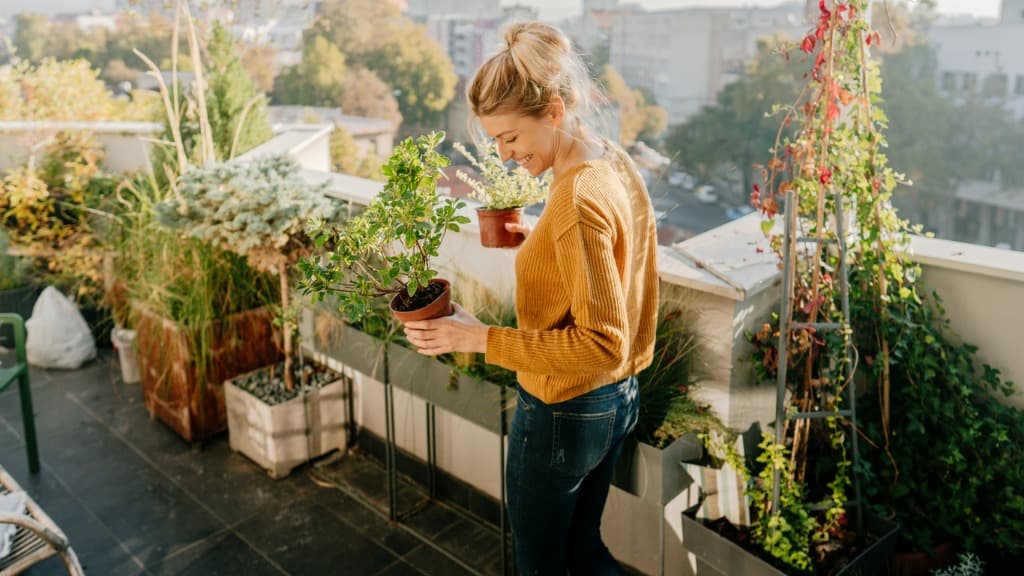 5 Keys to Gardening with a Bad Back