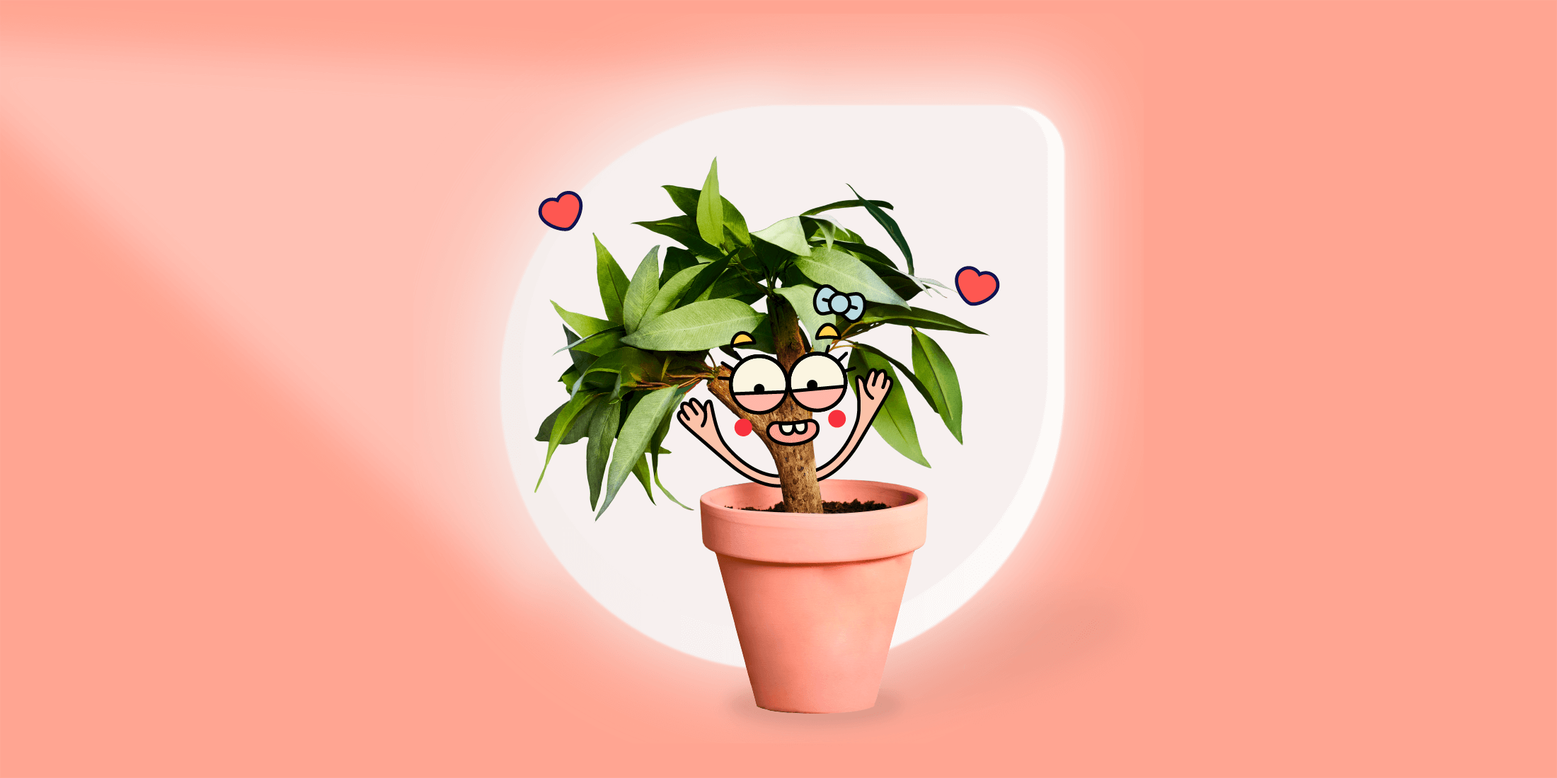 Great Value Mobile Plans | felix mobile