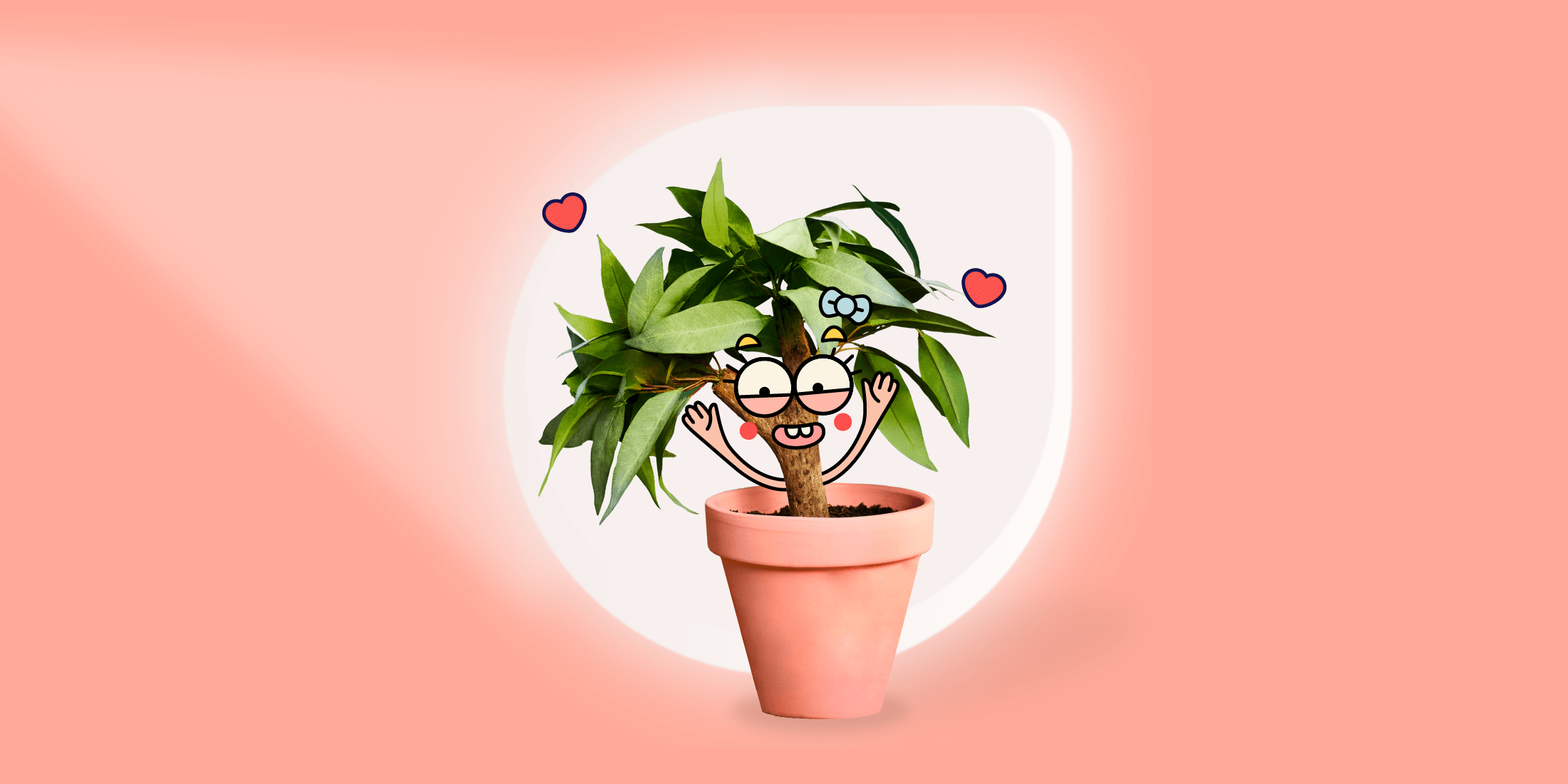 Great Value Mobile Plans | felix mobile