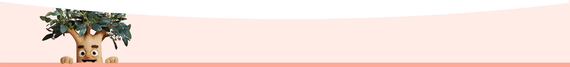 SIM Only Mobile Plans | felix mobile