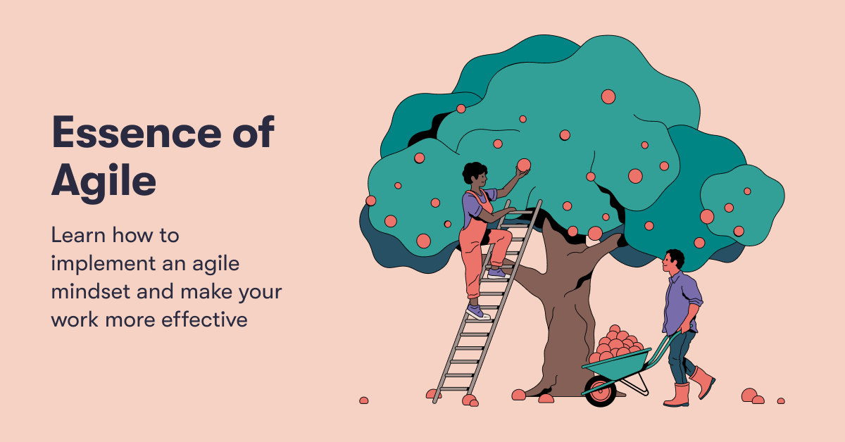 The Essence of Agile