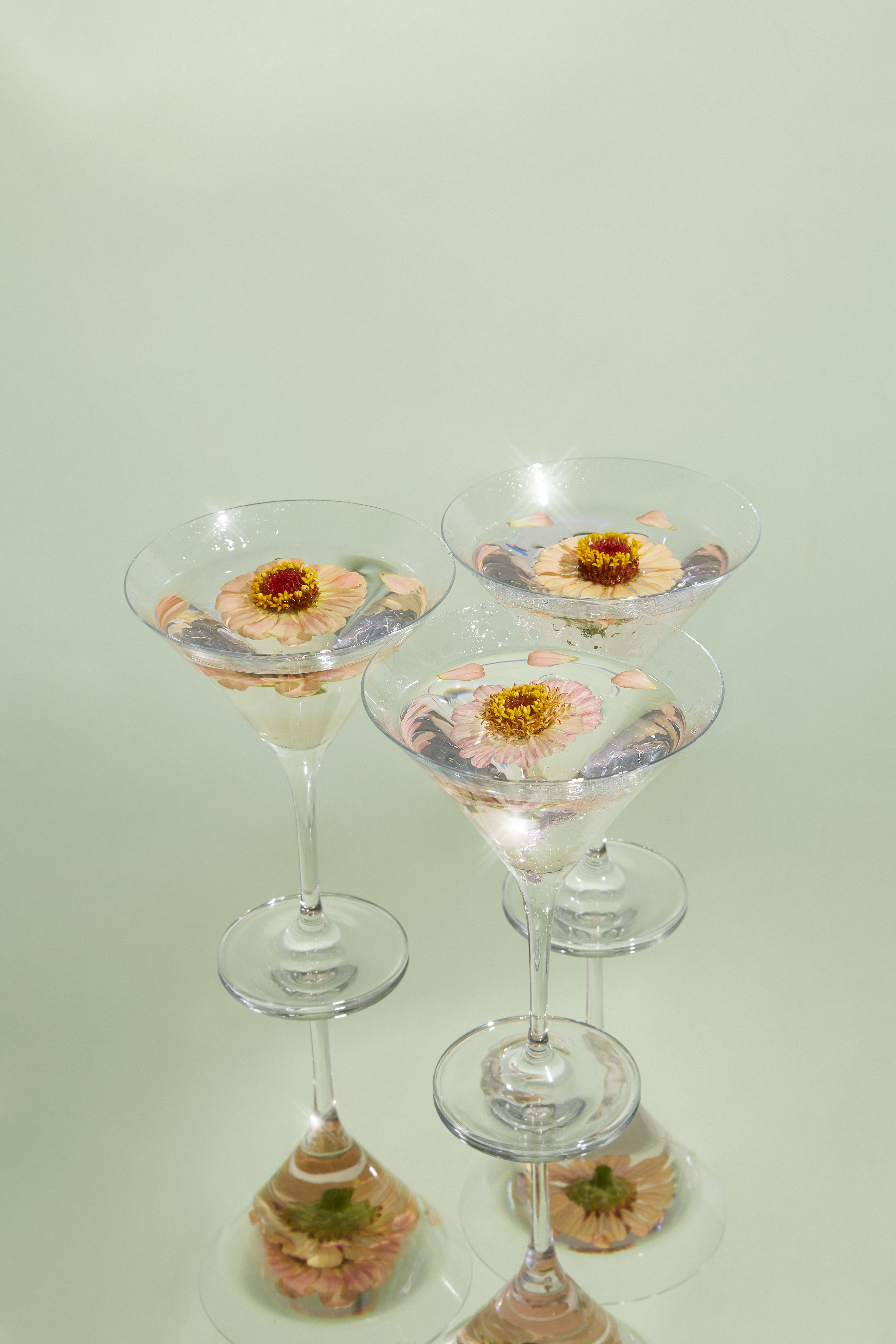 Home | Premium Rose Vodka & Spirits | Ette Spirits