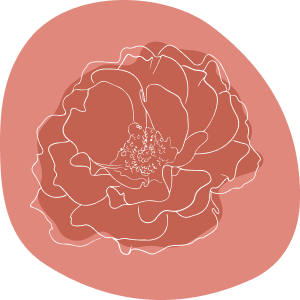 Home | Premium Rose Vodka & Spirits | Ette Spirits