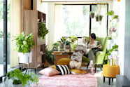 Interior Design Indoor Plants Home Design Ideas Interior Design Indoor Plants Home Design Ideas