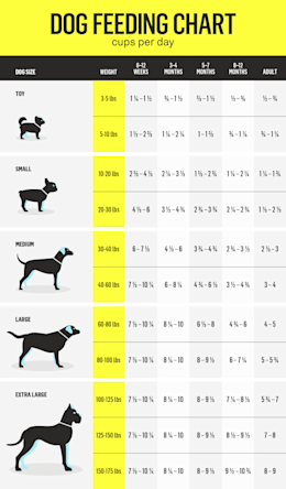 How Big Will My Labrador Puppy Get Calculator Puppy Weight Calculator 