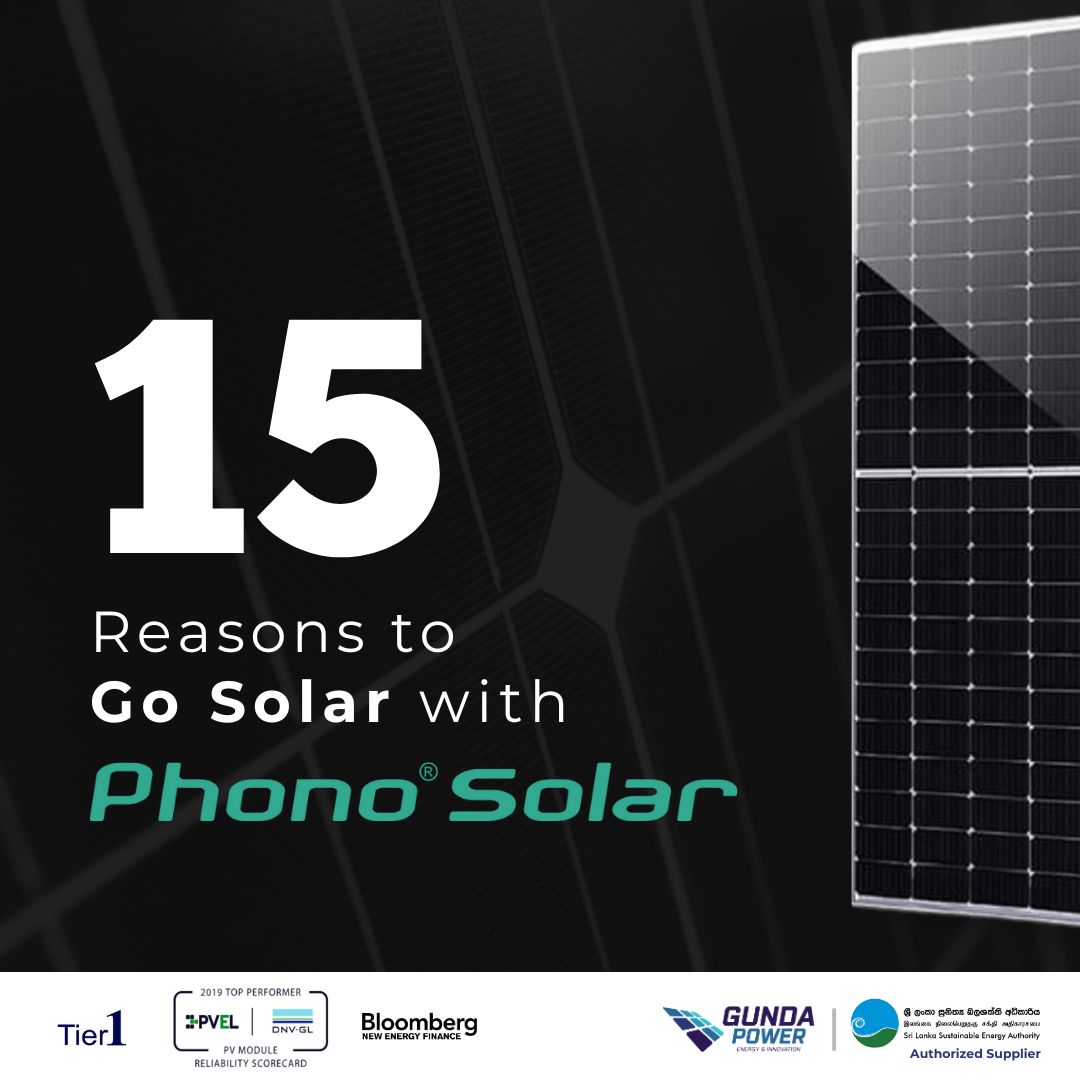 15 Reasons to Go Solar with Phono Solar | Gunda Power