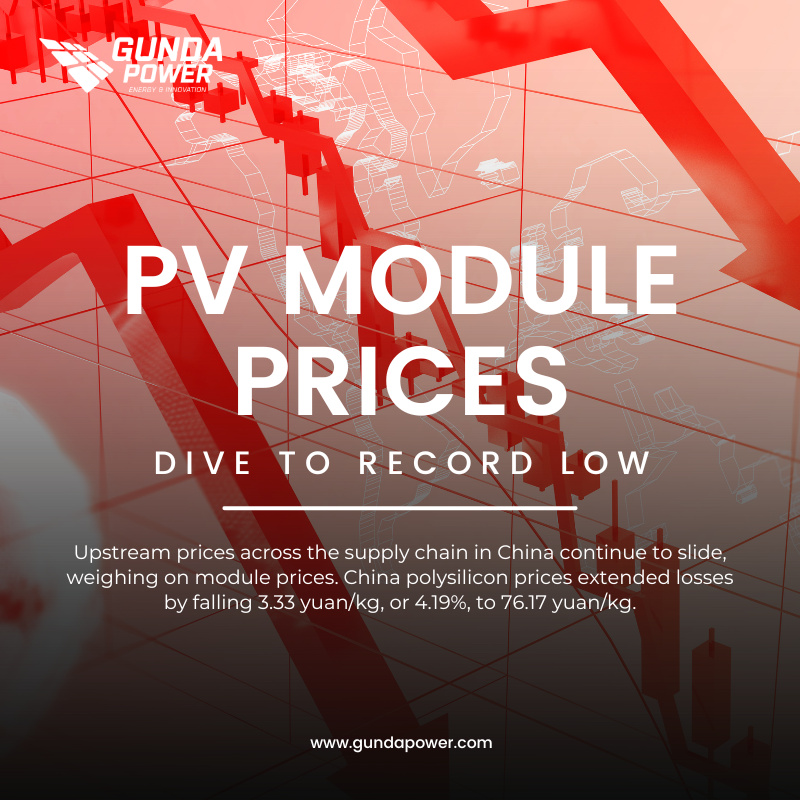 PV Module Prices Dive To Record Low in 2023 | Gunda Power