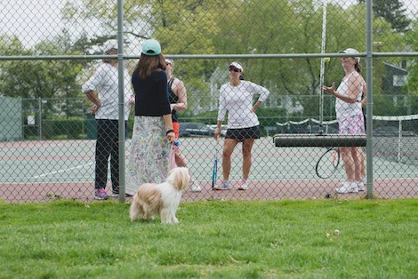 Riverside, Connecticut Neighborhood Guide | Compass