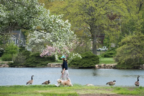 Riverside, Connecticut Neighborhood Guide | Compass