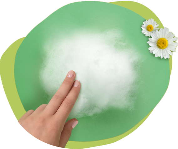 Toallas Femeninas Naturella Invisible Con Alas | Naturella