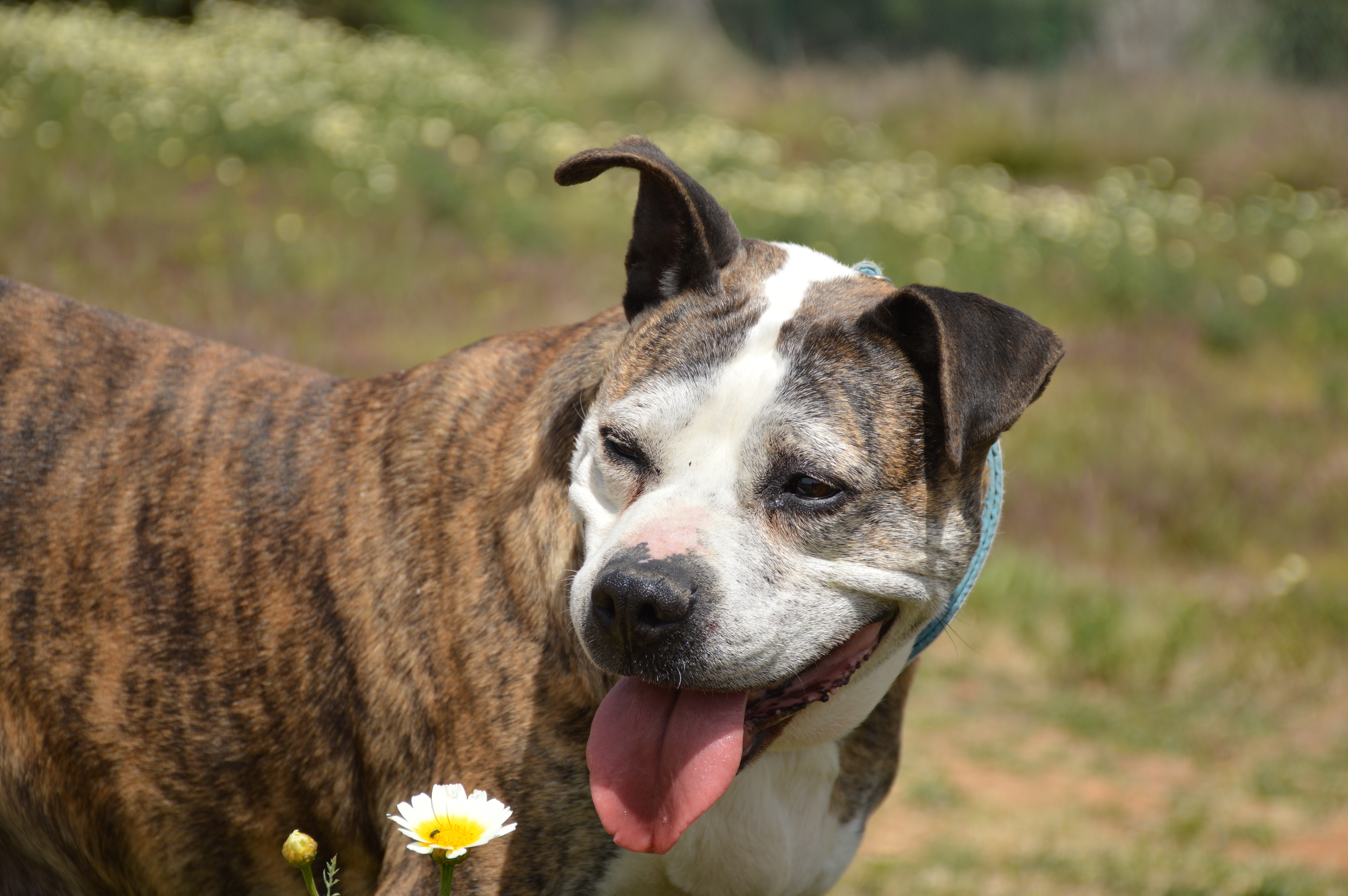 Triple A Marbella — Maud