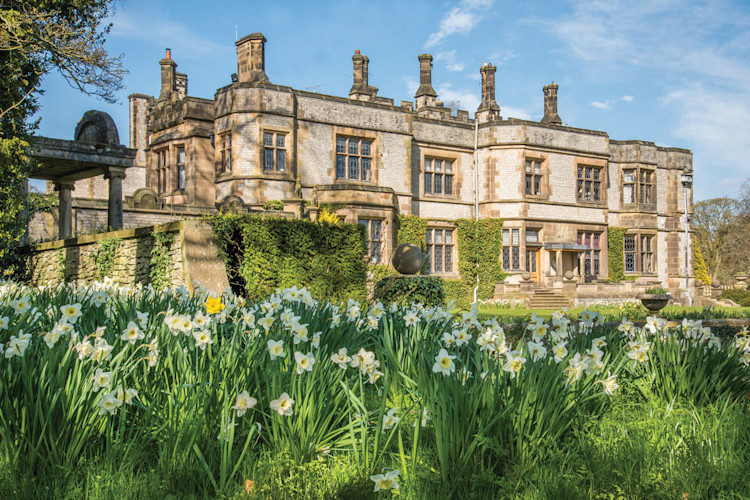 Kuukauden erikoisolut: Thornbridge Jaipur 5,9% — HoReCa-tukku Kespro