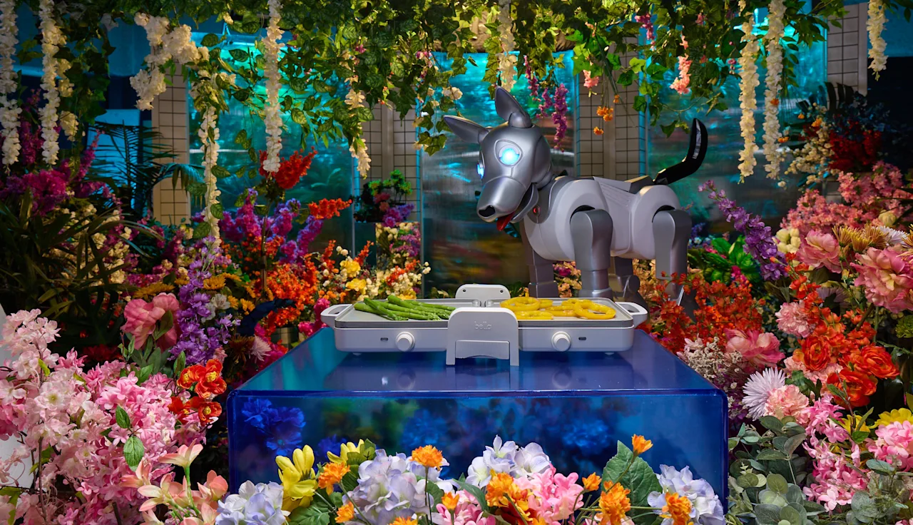 bella Kitchen Appliances | Air Fryers, Griddles, Toasters & More