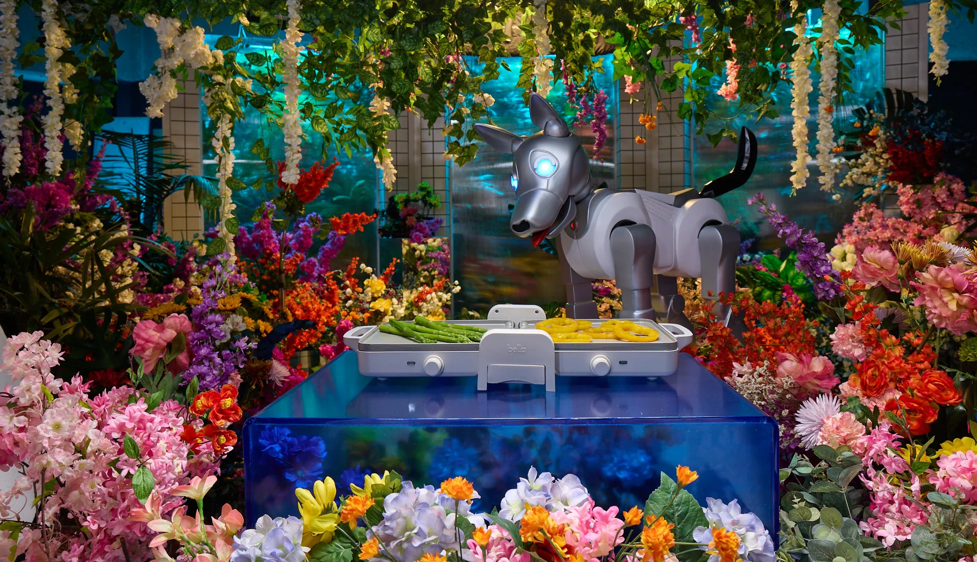 bella Kitchen Appliances | Air Fryers, Griddles, Toasters & More