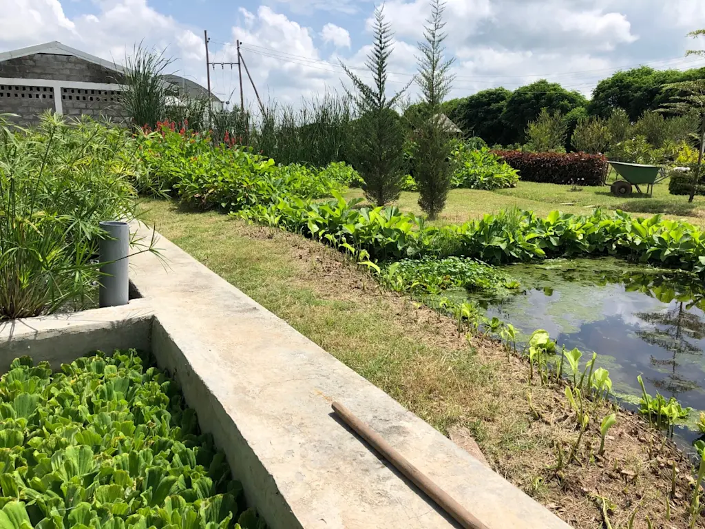 Our wetlands in full production | Florensis