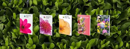 Florensis Catalogues | Florensis