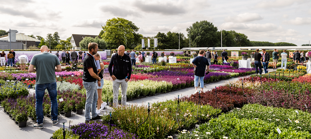 Recap FlowerTrials® 2025