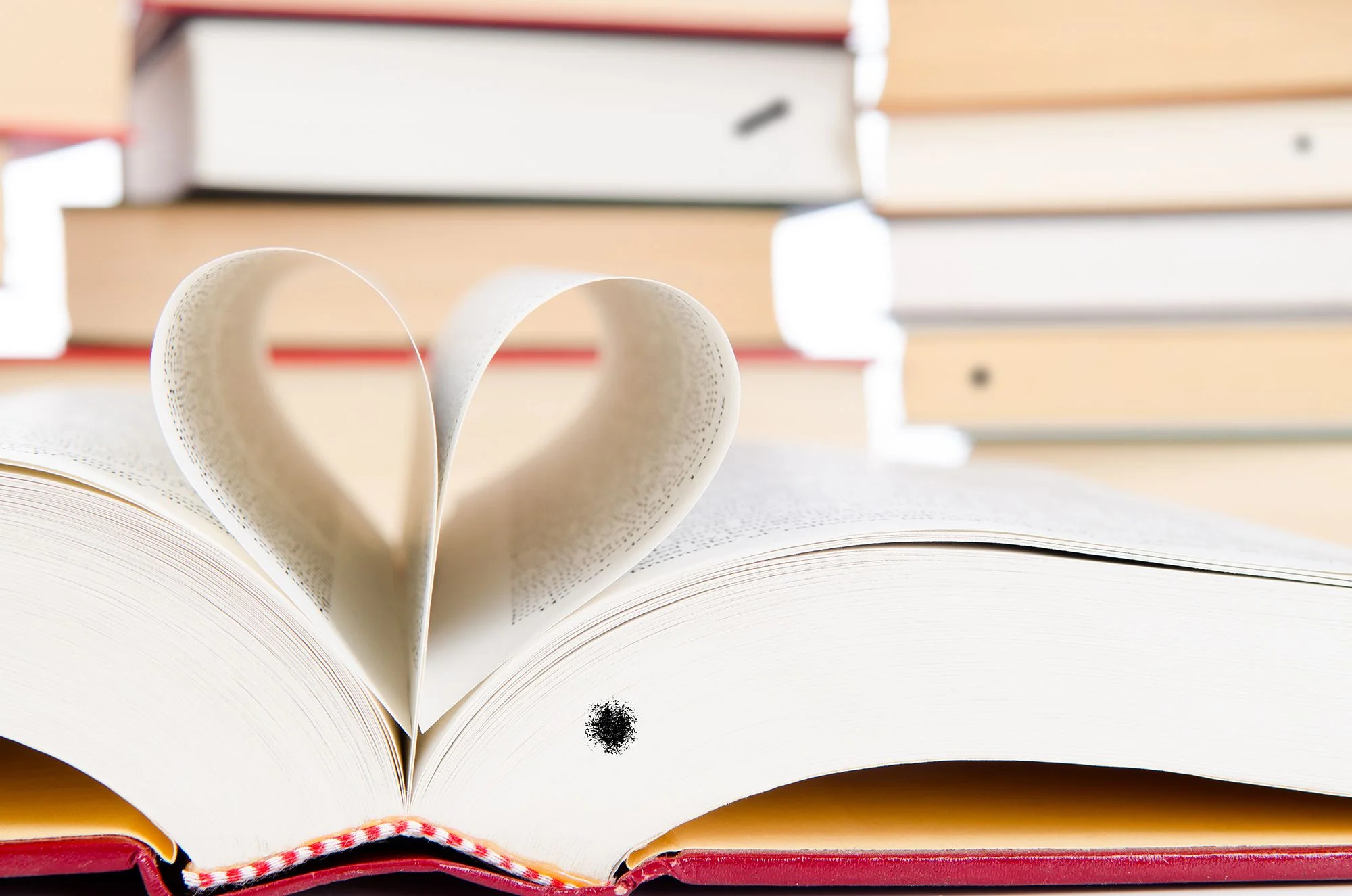 Gift Guide - Book Outlet CA