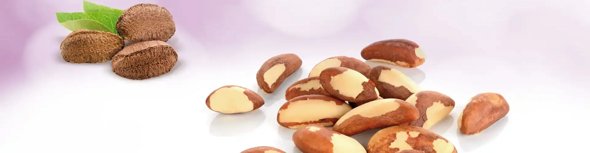 Brazil Nuts