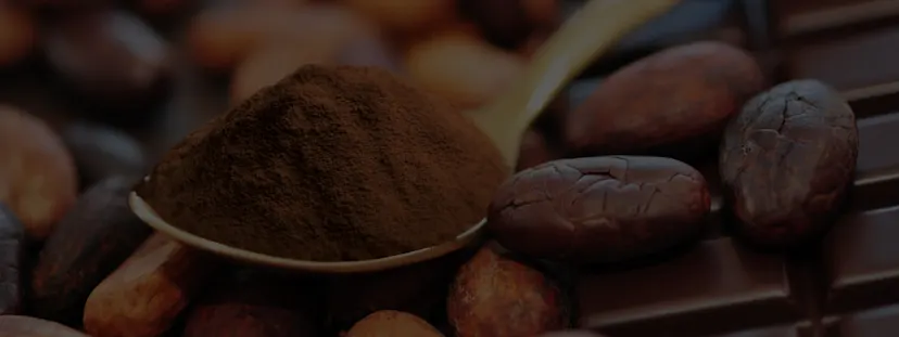Cocoa sustainability