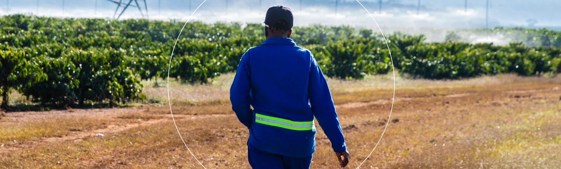 ofi's Farmer Information System