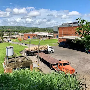 Joanes: a trusted cocoa ingredient brand in Brazil