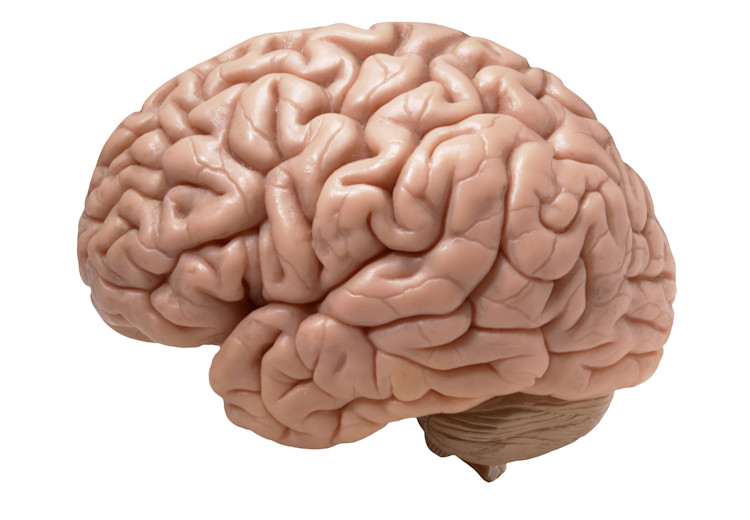 how-to-do-mental-math-blazing-fast-videos