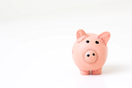 Best Budgeting Apps For Young Adults Noodle