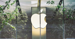 What Degrees Do You Need To Get A Job At Apple 