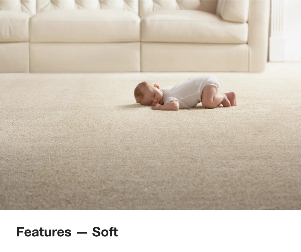 Carpet Installation and Replacement at The Home Depot