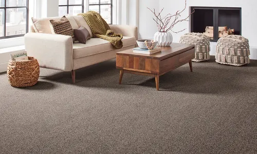 Carpet Installation and Replacement at The Home Depot