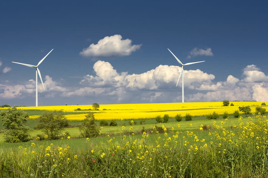 3 ways small businesses can use renewable energy | Opus Energy