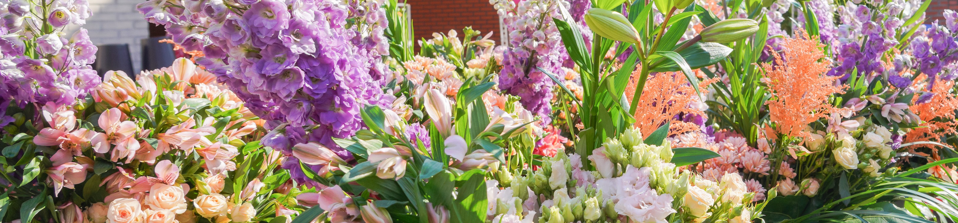 Discover the beauty of flowers at Keukenhof — Hilverda de Boer (es-ES)