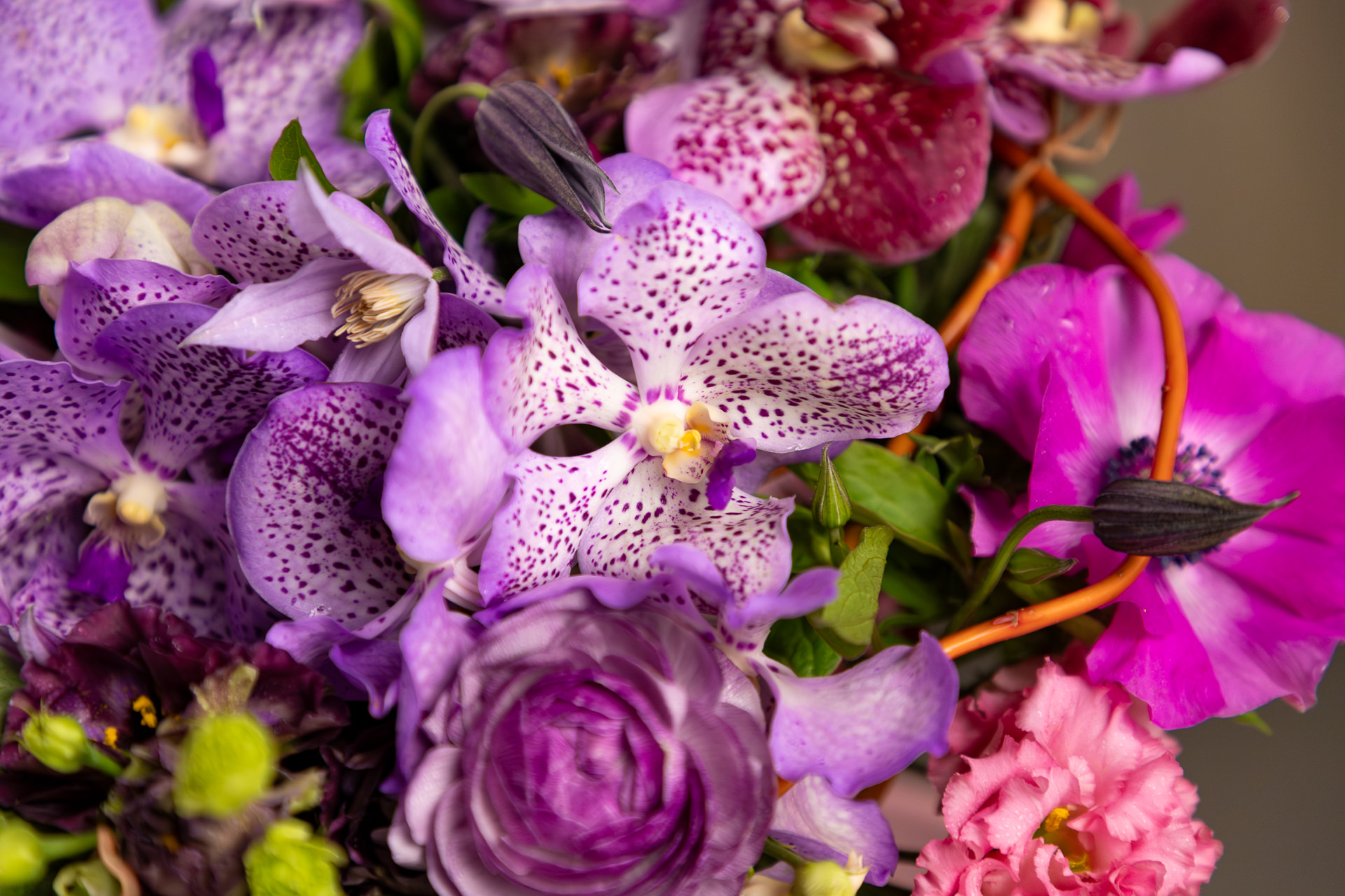 Jenny Thomasson-Ingrum– Gebunden an die Natur — FleuraMetz (de-DE)