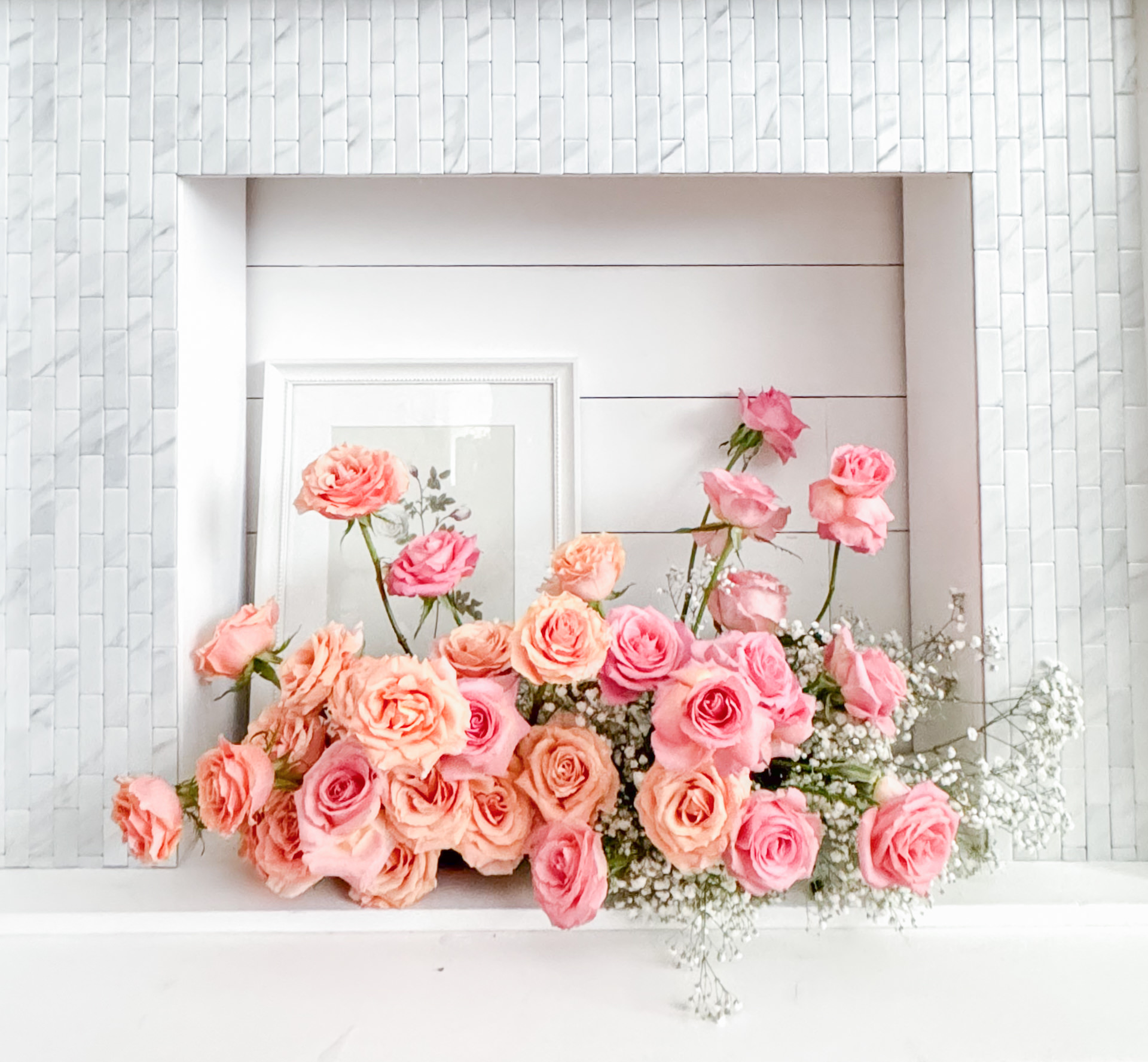 African Rose — Hilverda de Boer (en-GB)